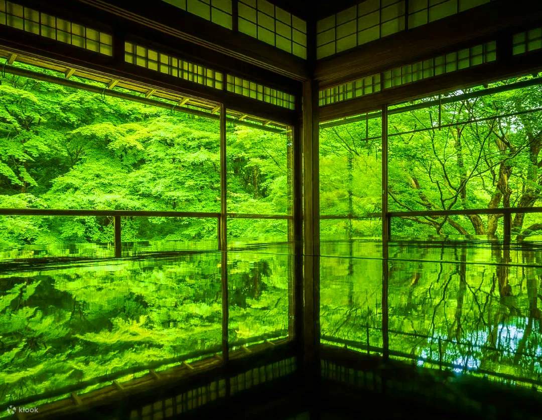 [Summer Only] Kyoto Summer Vacation Day Tour｜Visit Kifune Shrine ...